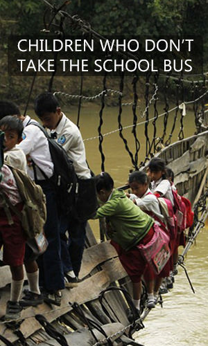 Children Who Do Not Take The School Bus