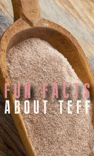 Fun Facts About Teff