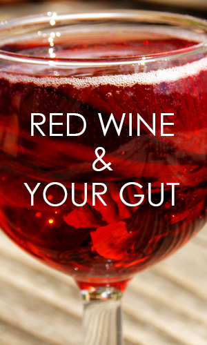 Red Wine And Your Gut